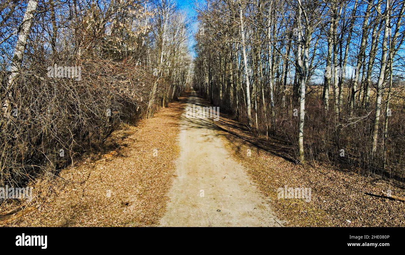 Rural hiking trail surrounded by trees Stock Photo - Alamy
