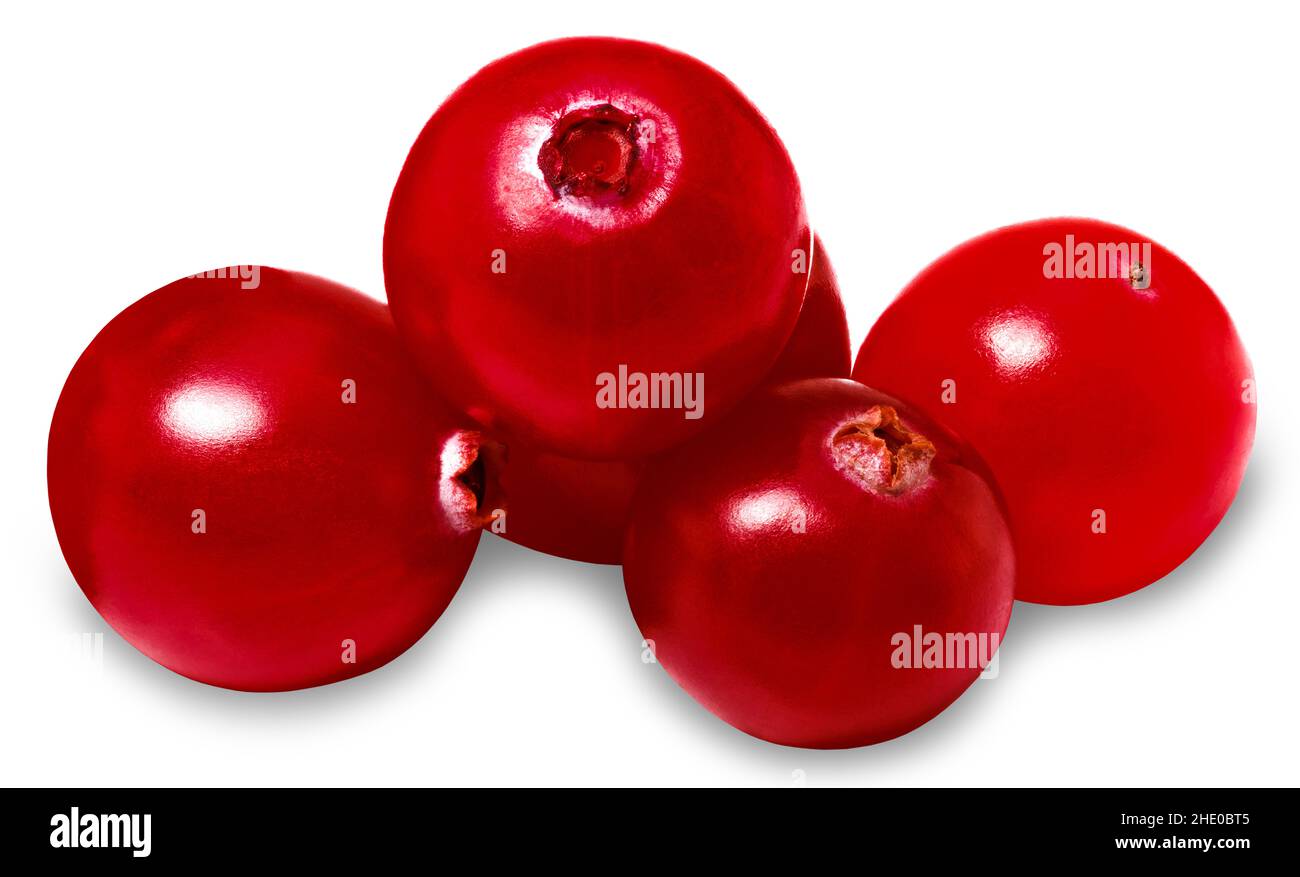 cranberry isolated on white background. Fresh cranberries with clipping ...