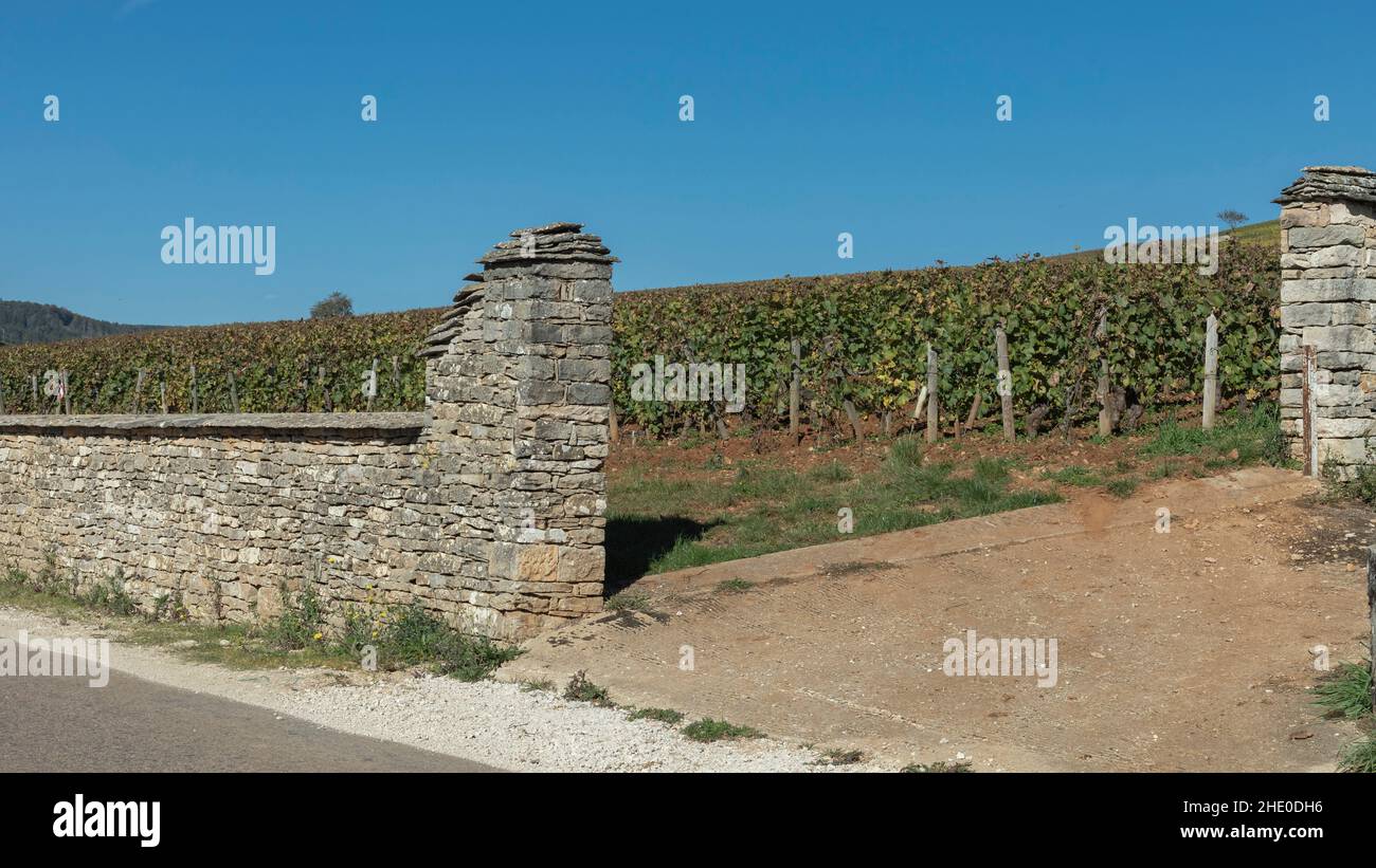 Stone pillars and walled area containing a vineyard elevated in the ...