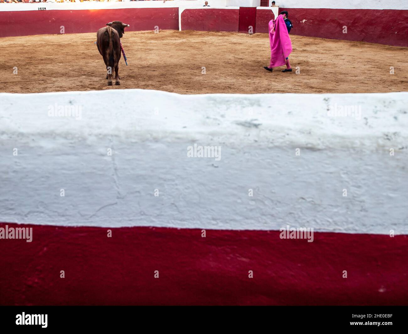 Bull fight ancient hi-res stock photography and images - Alamy