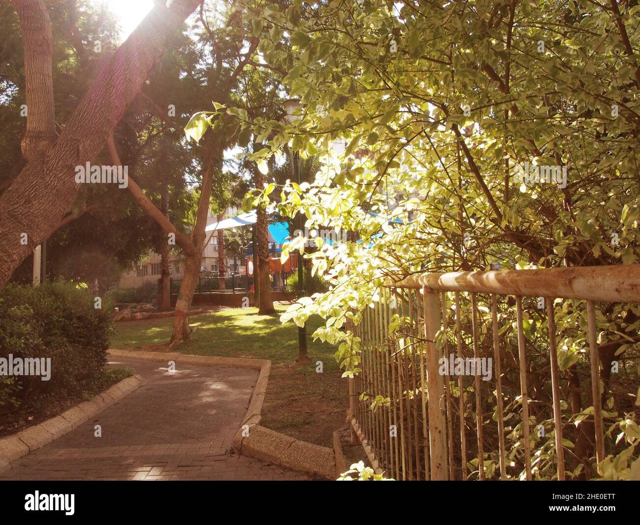 A sunny spot in front of the playground Stock Photo - Alamy