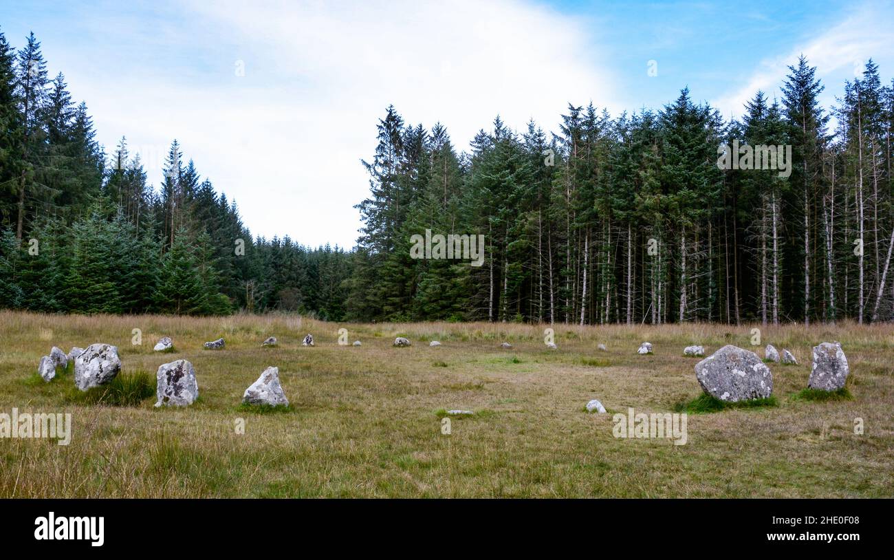 Bronze age forest hi-res stock photography and images - Alamy