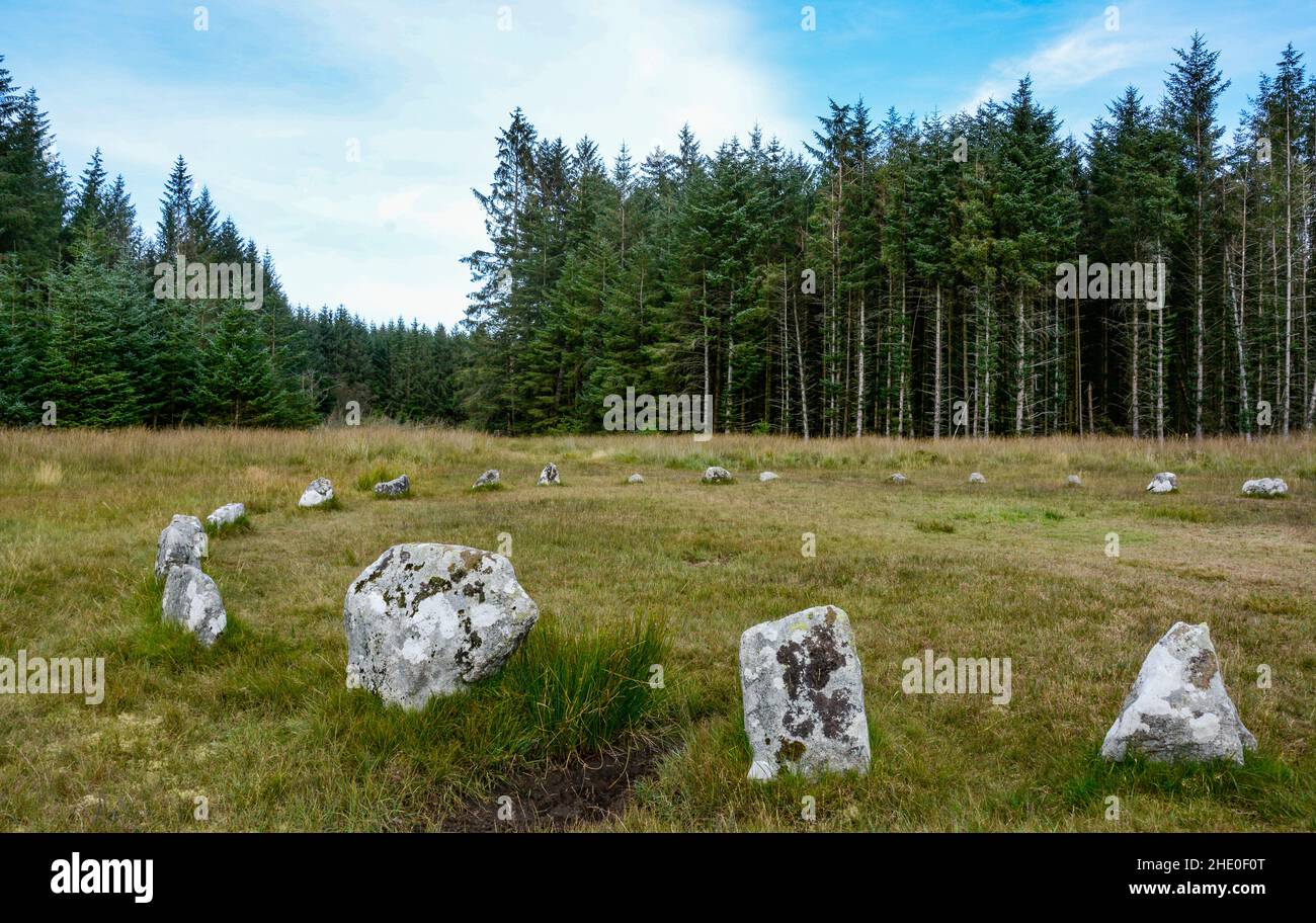 Ancient Stone Circle within Fernworthy Forest on Dartmoor, Devon Stock ...