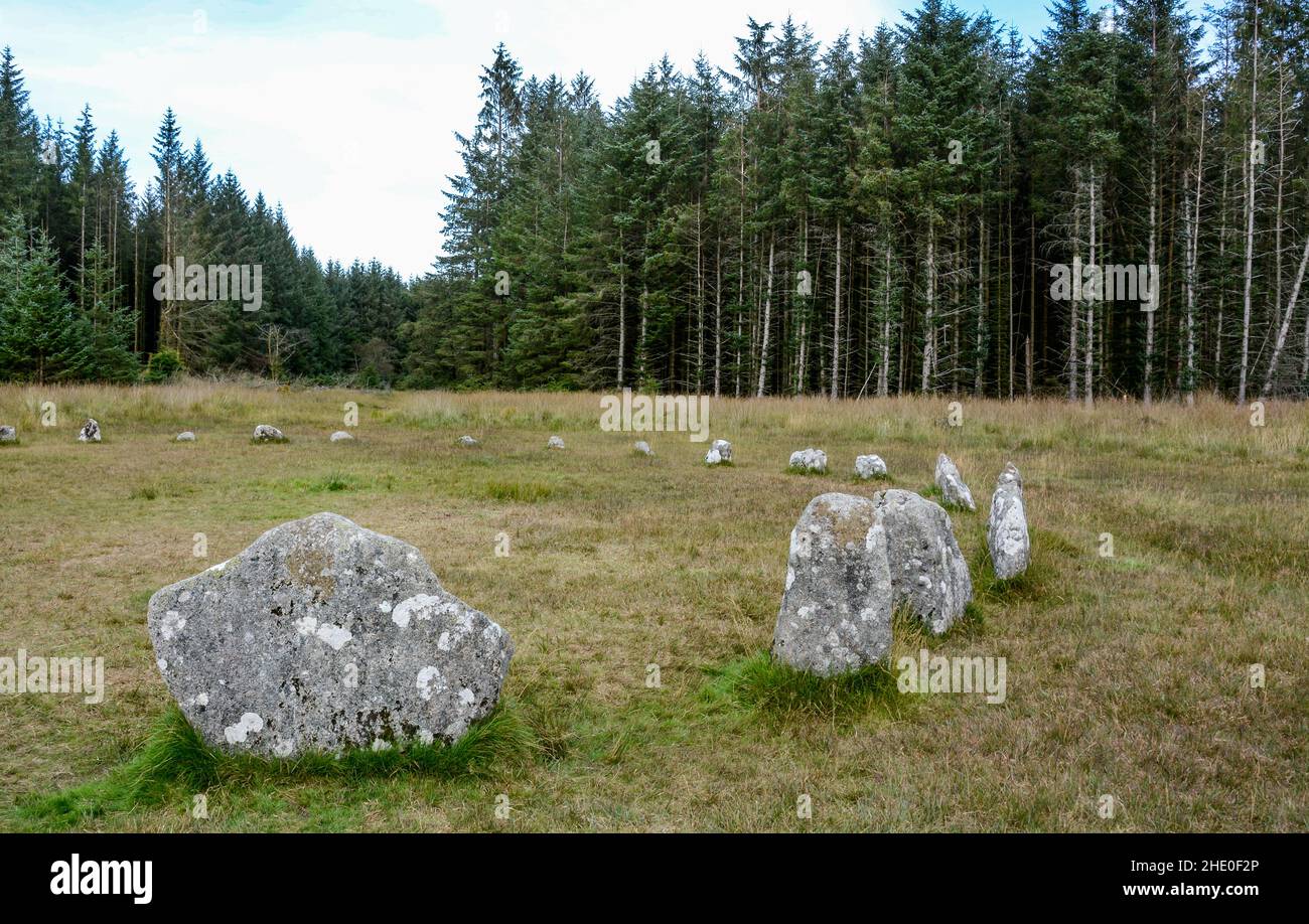 Ancient Stone Circle within Fernworthy Forest on Dartmoor, Devon Stock ...