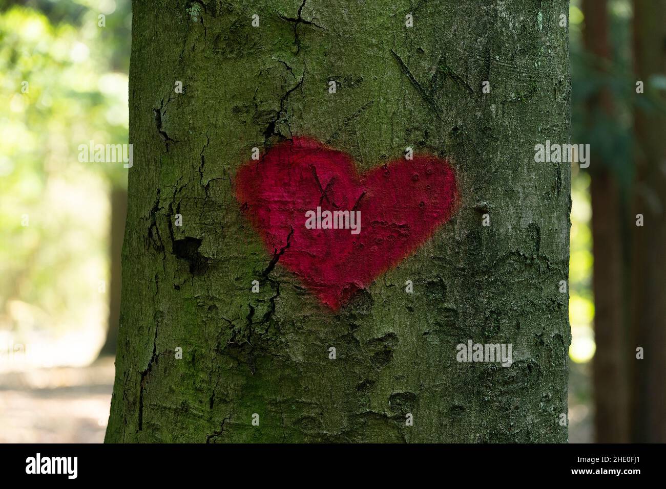A Red heart painted on a tree trunk - symbol of secret lovers and love ...