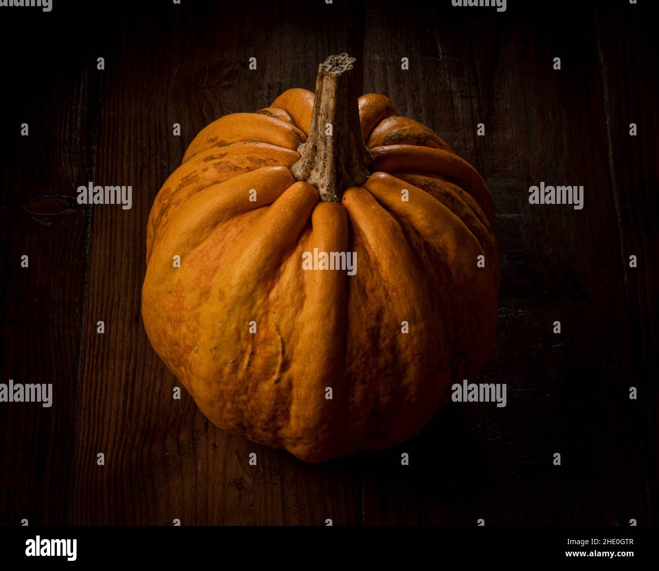 Thick skin hi-res stock photography and images - Alamy