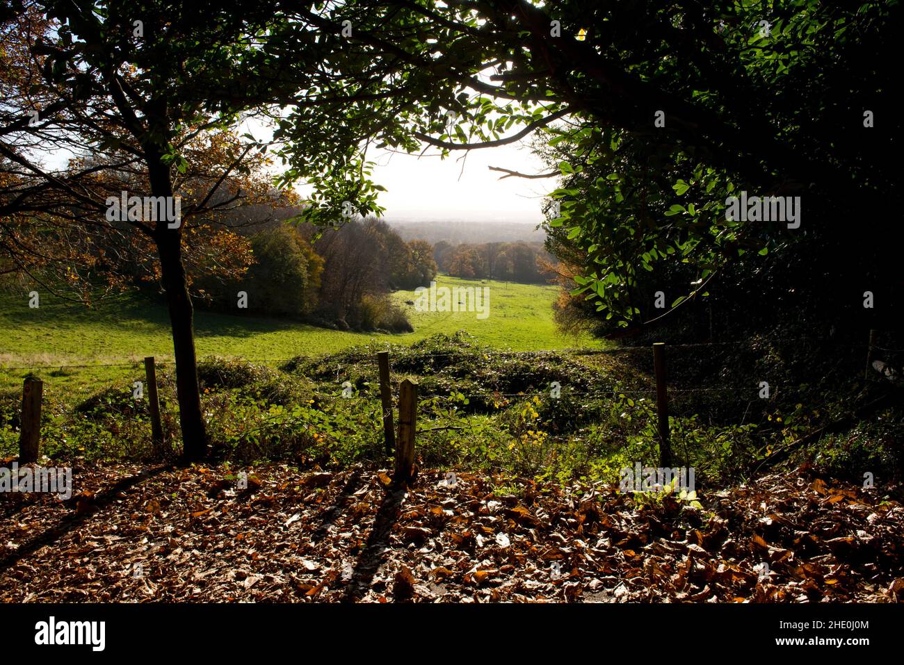 Autumn colours in rural Kent, England, UK Stock Photo - Alamy