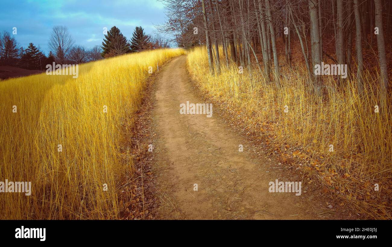 Tall grass grassland america hi-res stock photography and images - Alamy