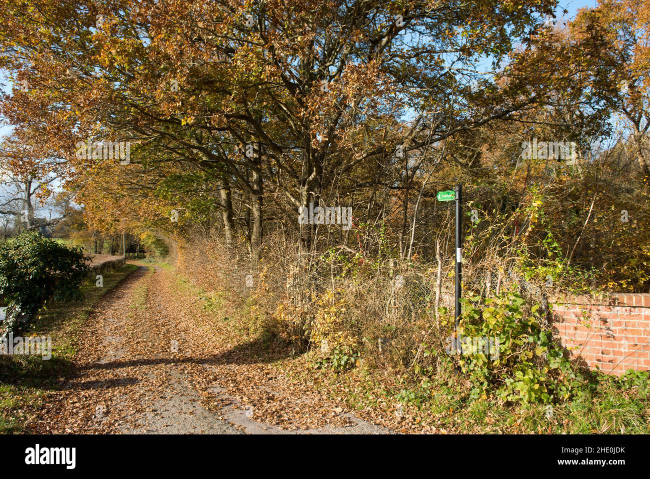 Autumn colours in rural Kent, England, UK Stock Photo - Alamy
