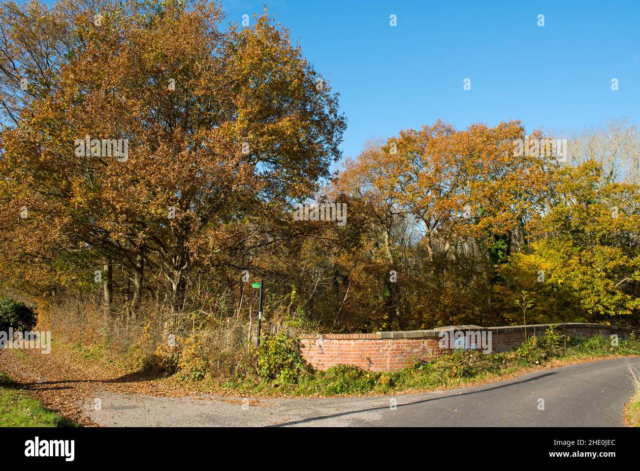 Autumn colours in rural Kent, England, UK Stock Photo - Alamy