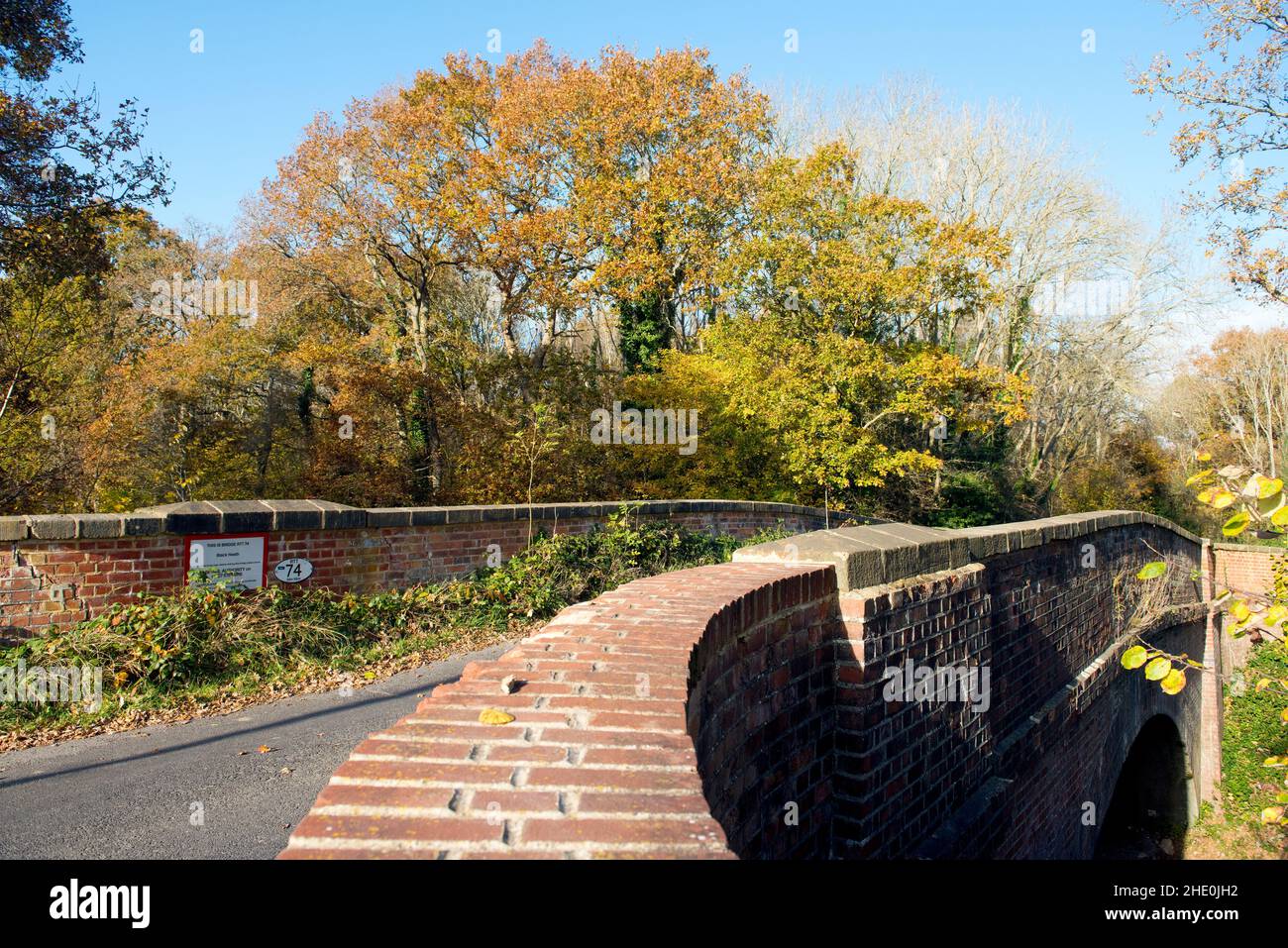 Autumn colours in rural Kent, England, UK Stock Photo - Alamy