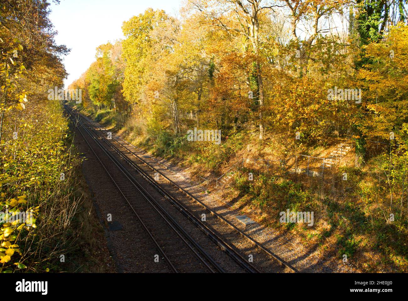 Autumn colours in rural Kent, England, UK Stock Photo - Alamy