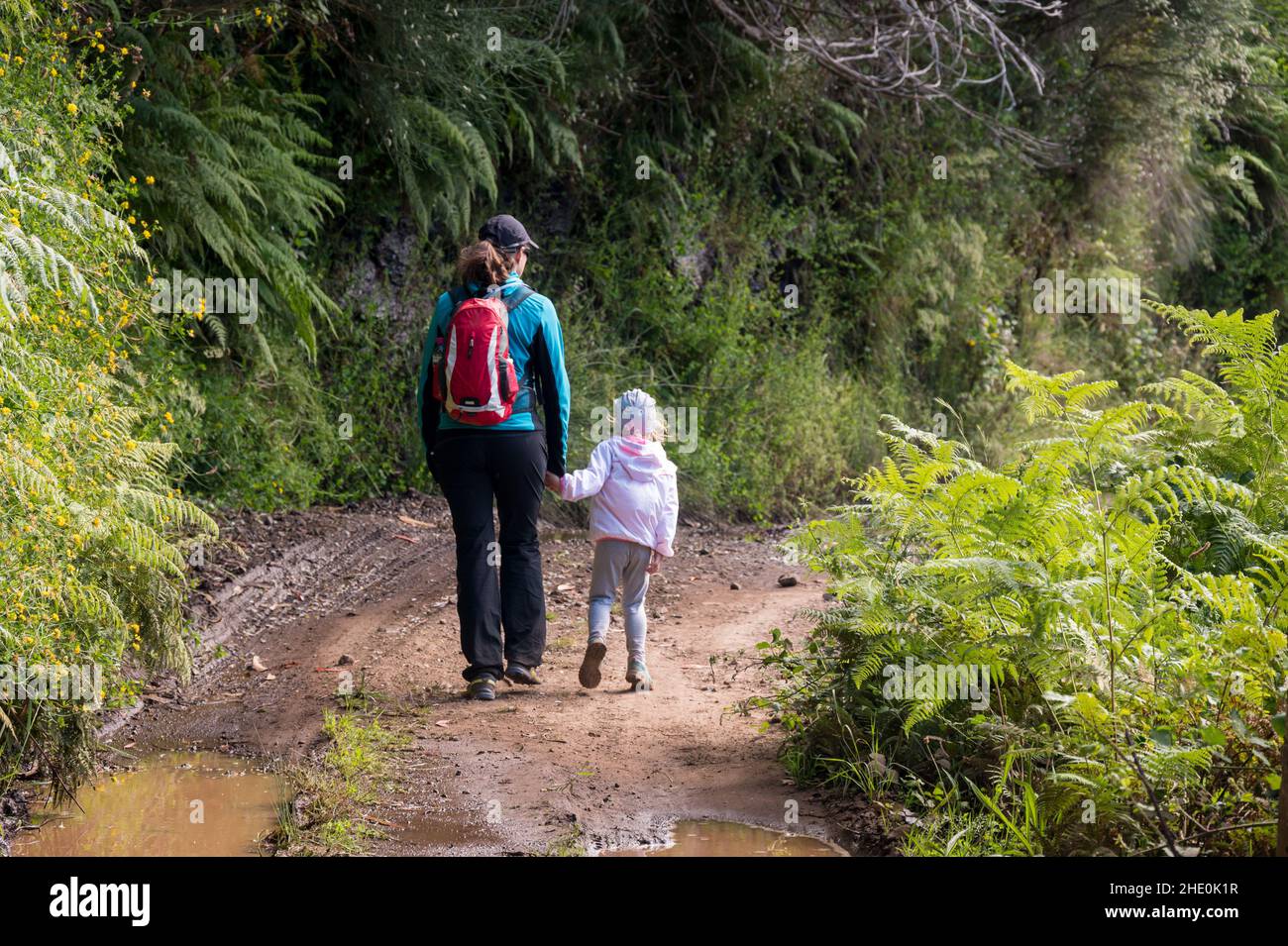 Mother and daughter walking along forest path Stock Photo - Alamy