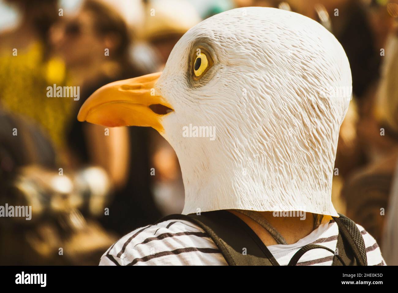 Person wearing bird outfit hi-res stock photography and images - Alamy