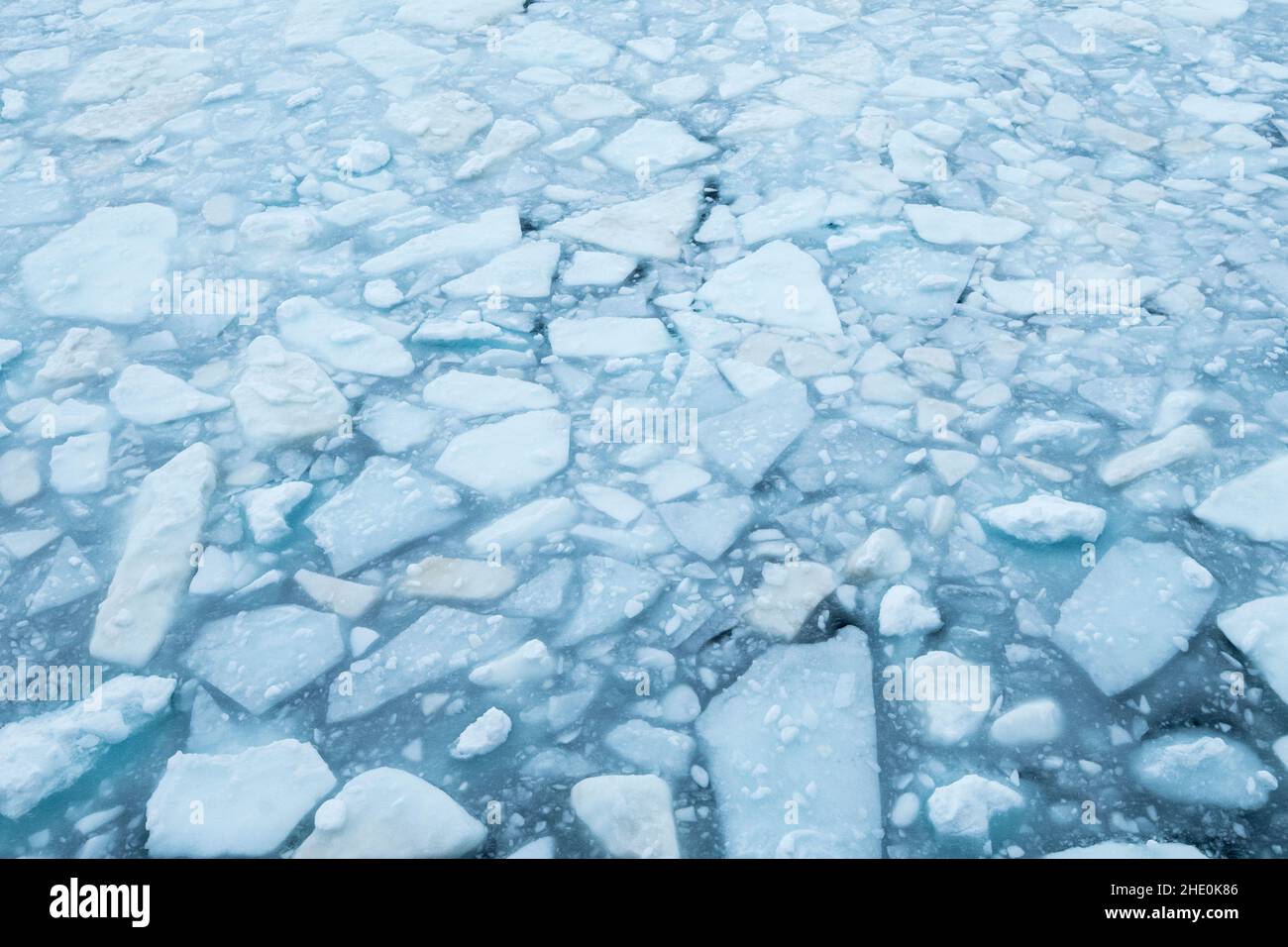 Pack ice in Wilhelmina Bay, Antarctica Stock Photo - Alamy