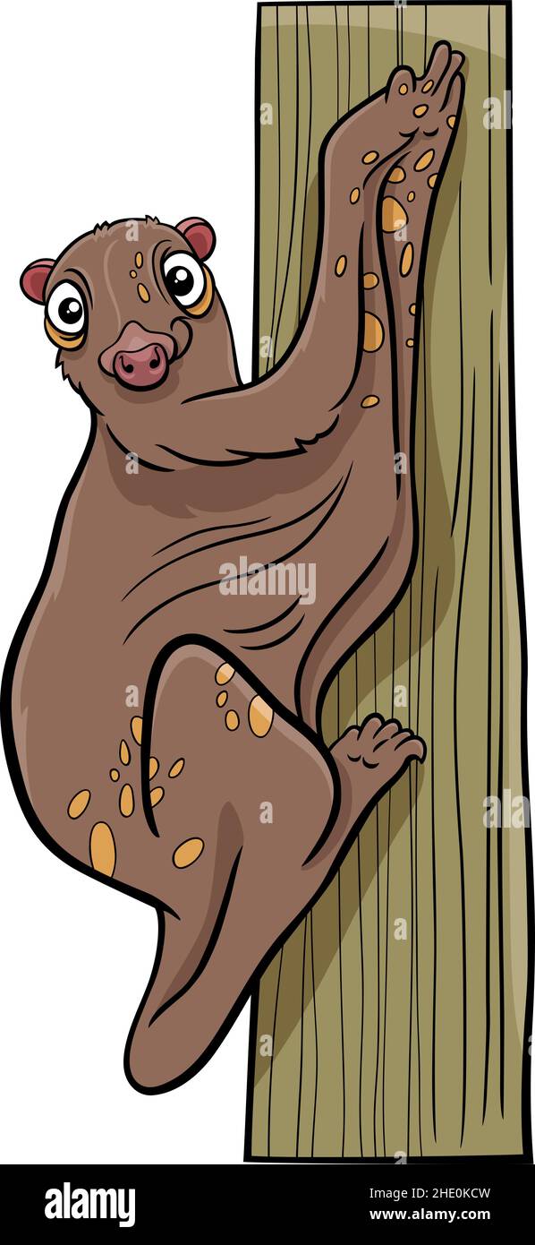 Colugo Stock Vector Images - Alamy