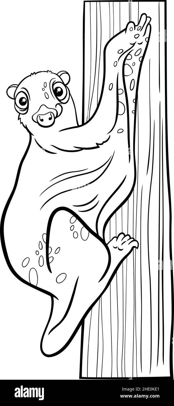 Colugo flying lemur Stock Vector Images - Alamy