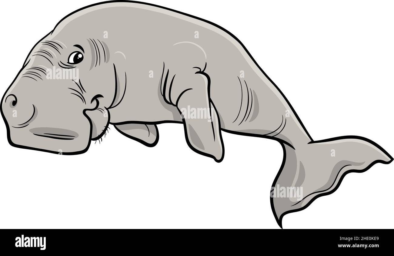 Cartoon illustration of dugong marine mammal animal character Stock ...