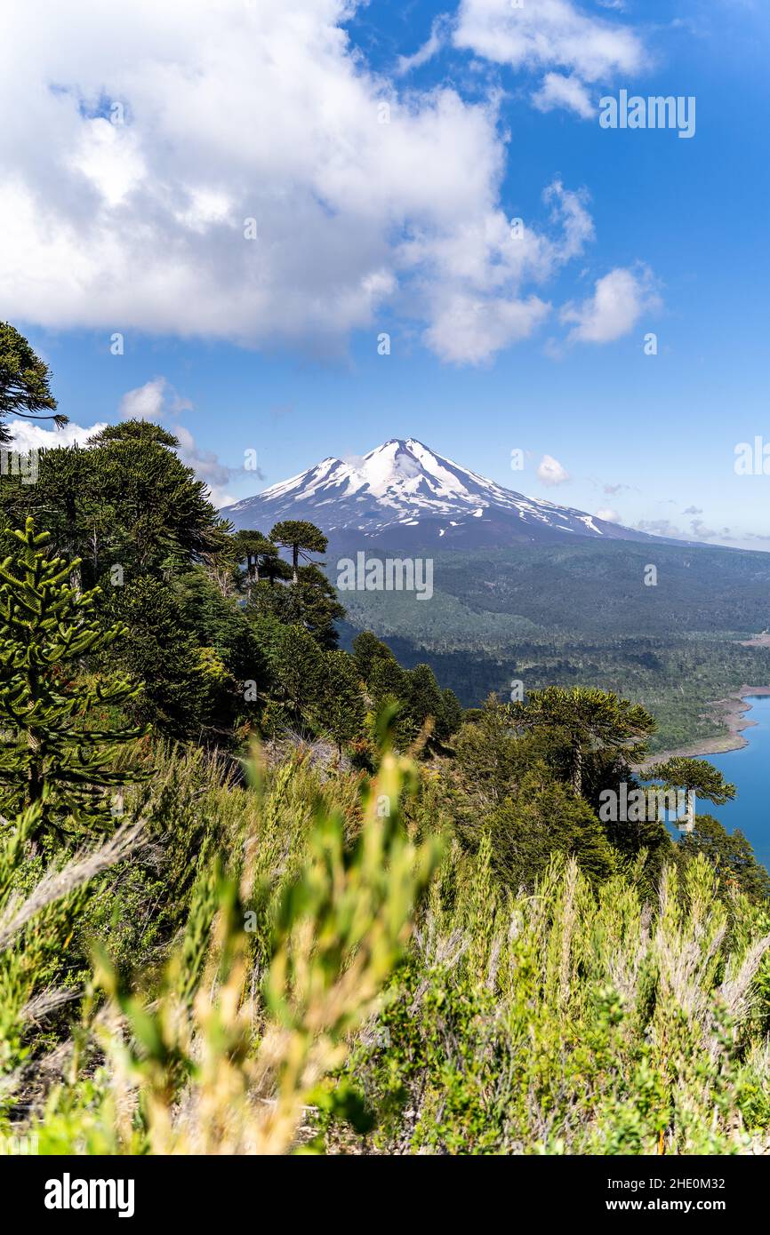 Llaima chile hi-res stock photography and images - Alamy