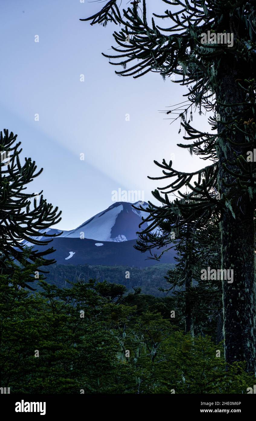 Llaima chile hi-res stock photography and images - Alamy