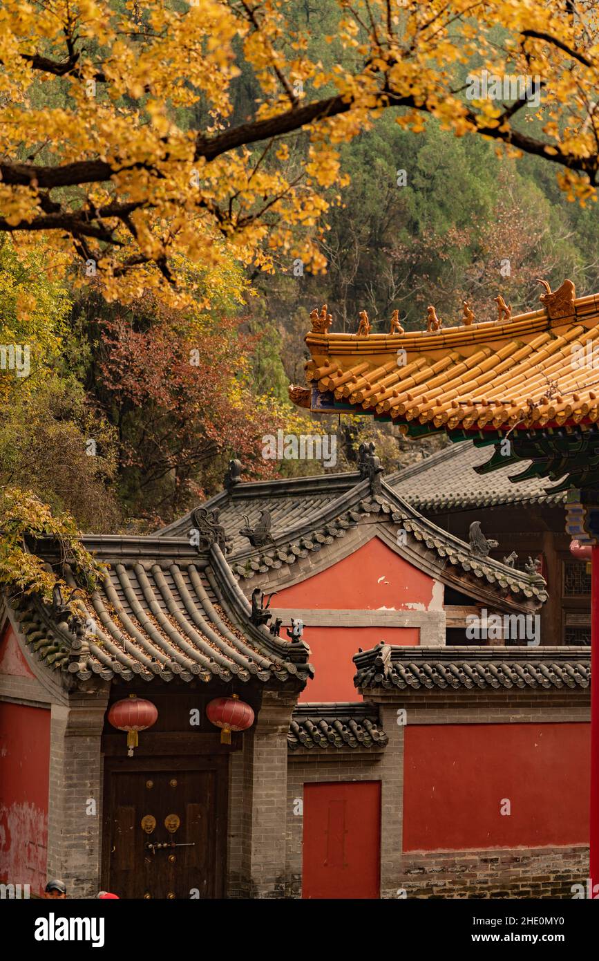 Vertical shot of the architectural details of an old temple surrounded ...