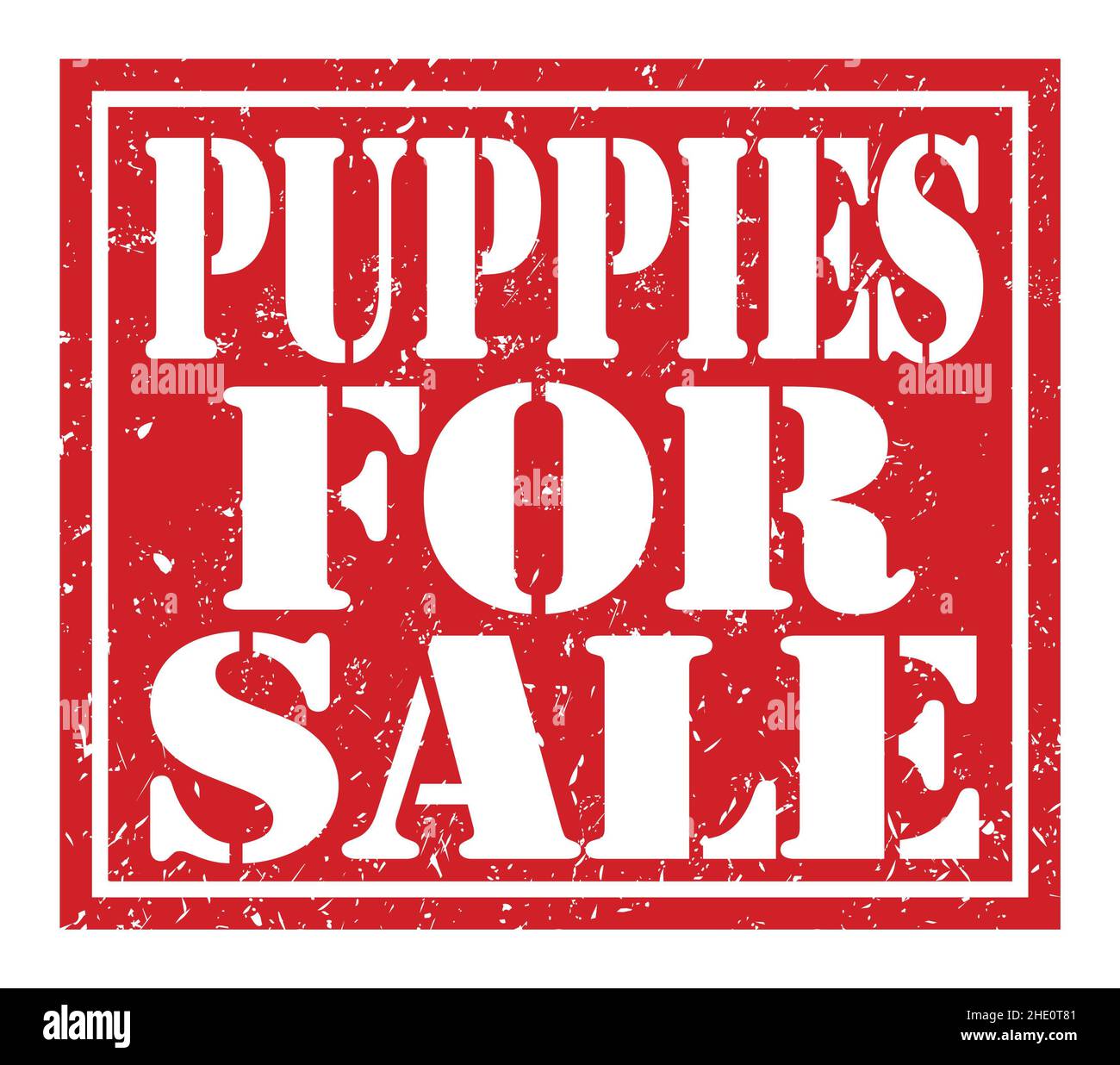 PUPPIES FOR SALE, words written on red stamp sign Stock Photo - Alamy