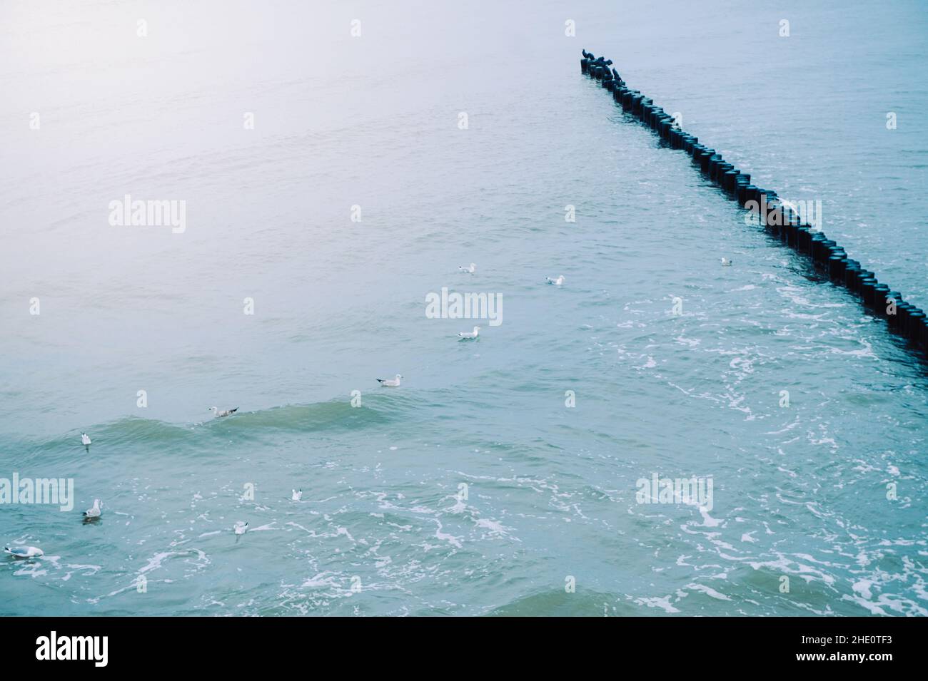 Groyne on a coast Stock Photo - Alamy