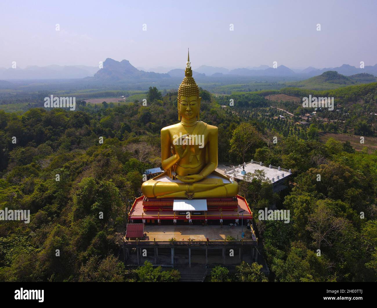 Giant golden statue of Buddha in the middle of forest in Thailand Stock ...
