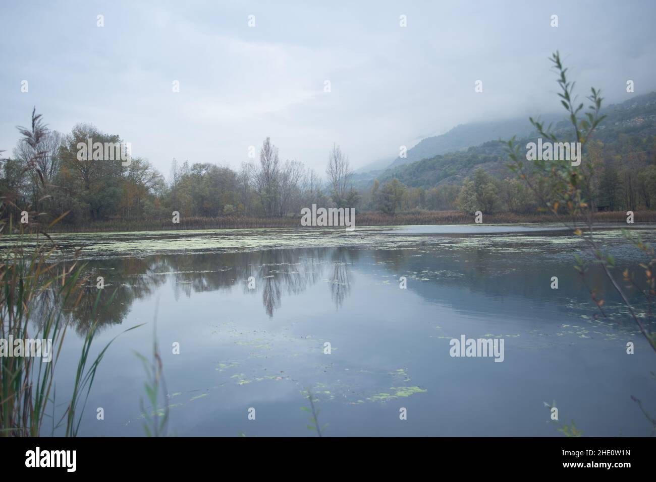 Lake panorama on a bad weather day of autumn Stock Photo - Alamy