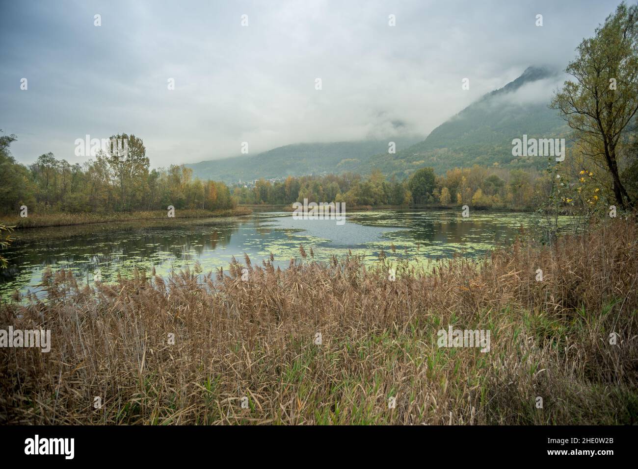 Lake panorama on a bad weather day of autumn Stock Photo - Alamy