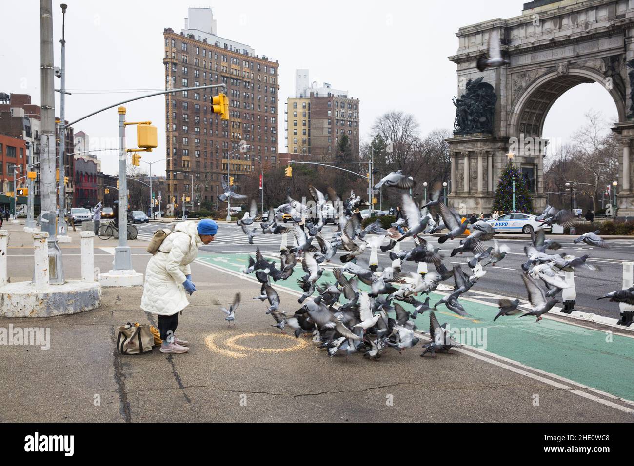 Woman feeds the pigeons at Grand Army Plaza, Brooklyn, New York Stock ...