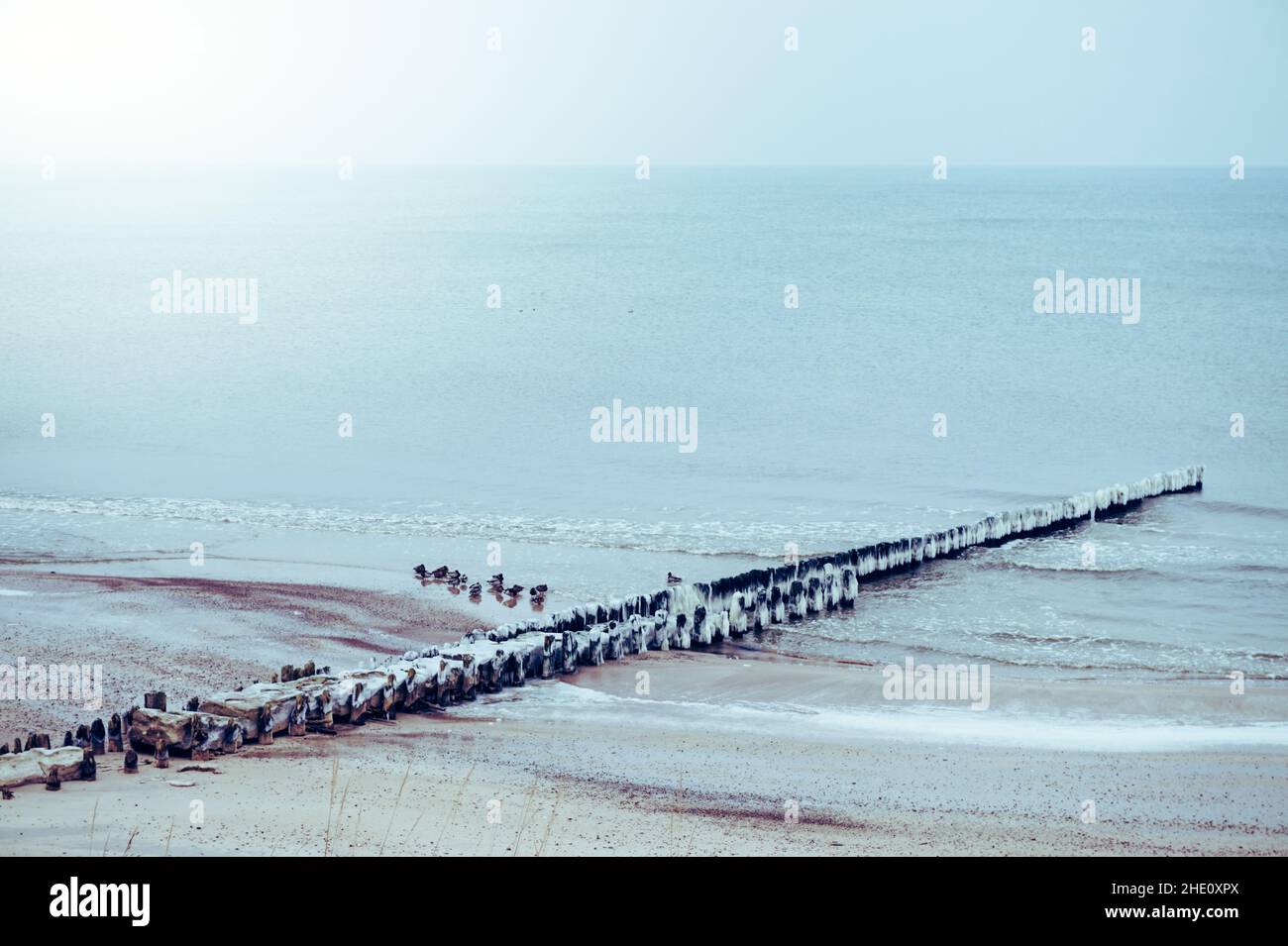 Wooden groyne on a sea Stock Photo - Alamy