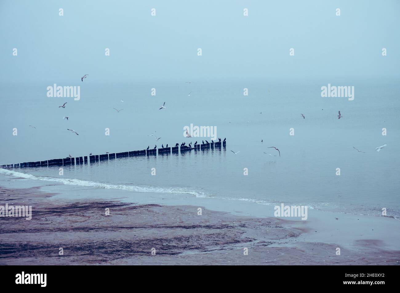 Groyne on a coast Stock Photo - Alamy