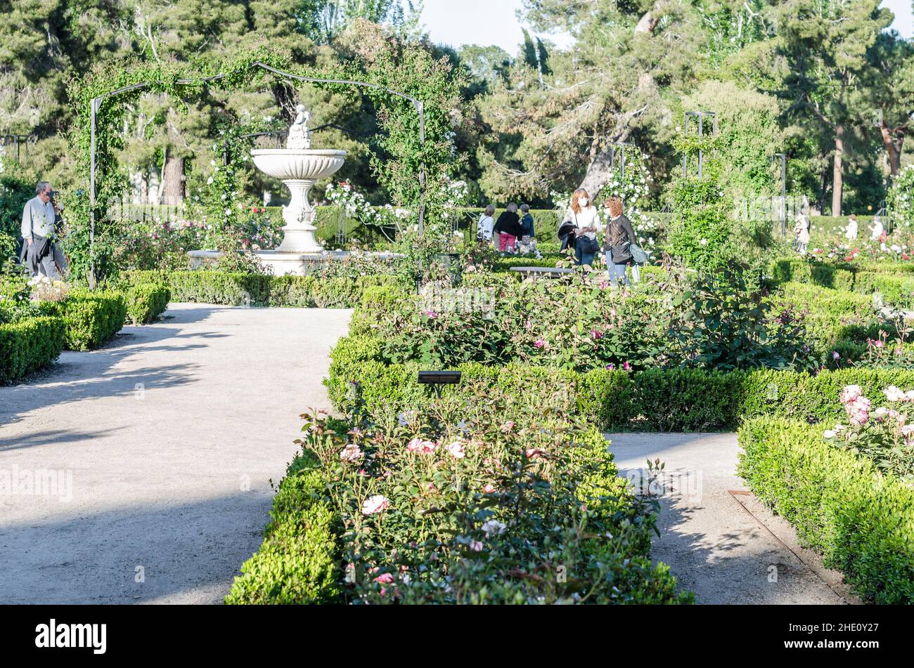 MADRID, SPAIN - MAY 7, 2021: People visiting the rose garden during ...