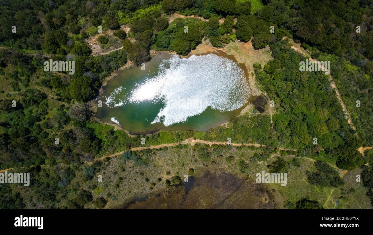 Colombia water and forest and aerial hi-res stock photography and ...