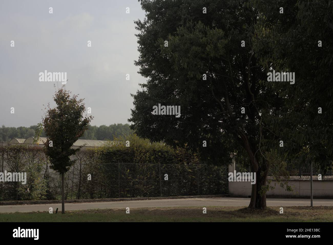 Bike path bordered by a metal grate next to a park on a cloudy day ...
