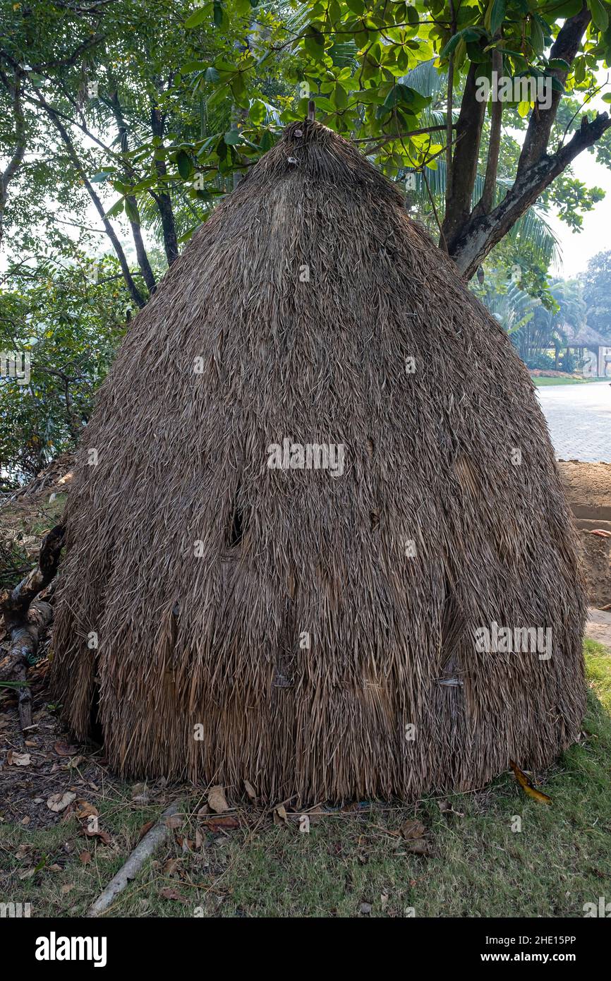 Straw, fodder of rural Vietnam Stock Photo - Alamy