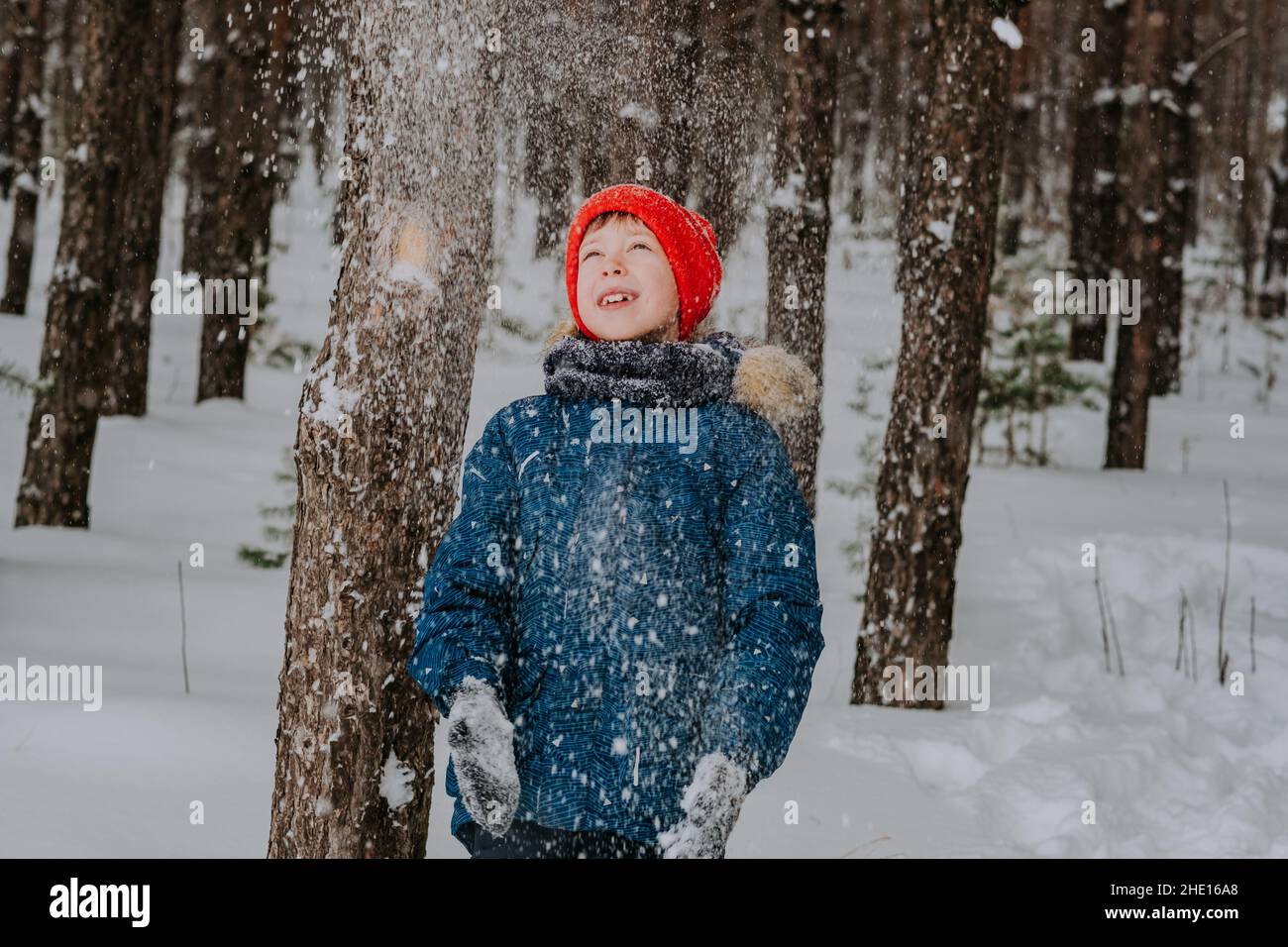 A boy walks in the snow in the winter forest. A child throws snow over ...