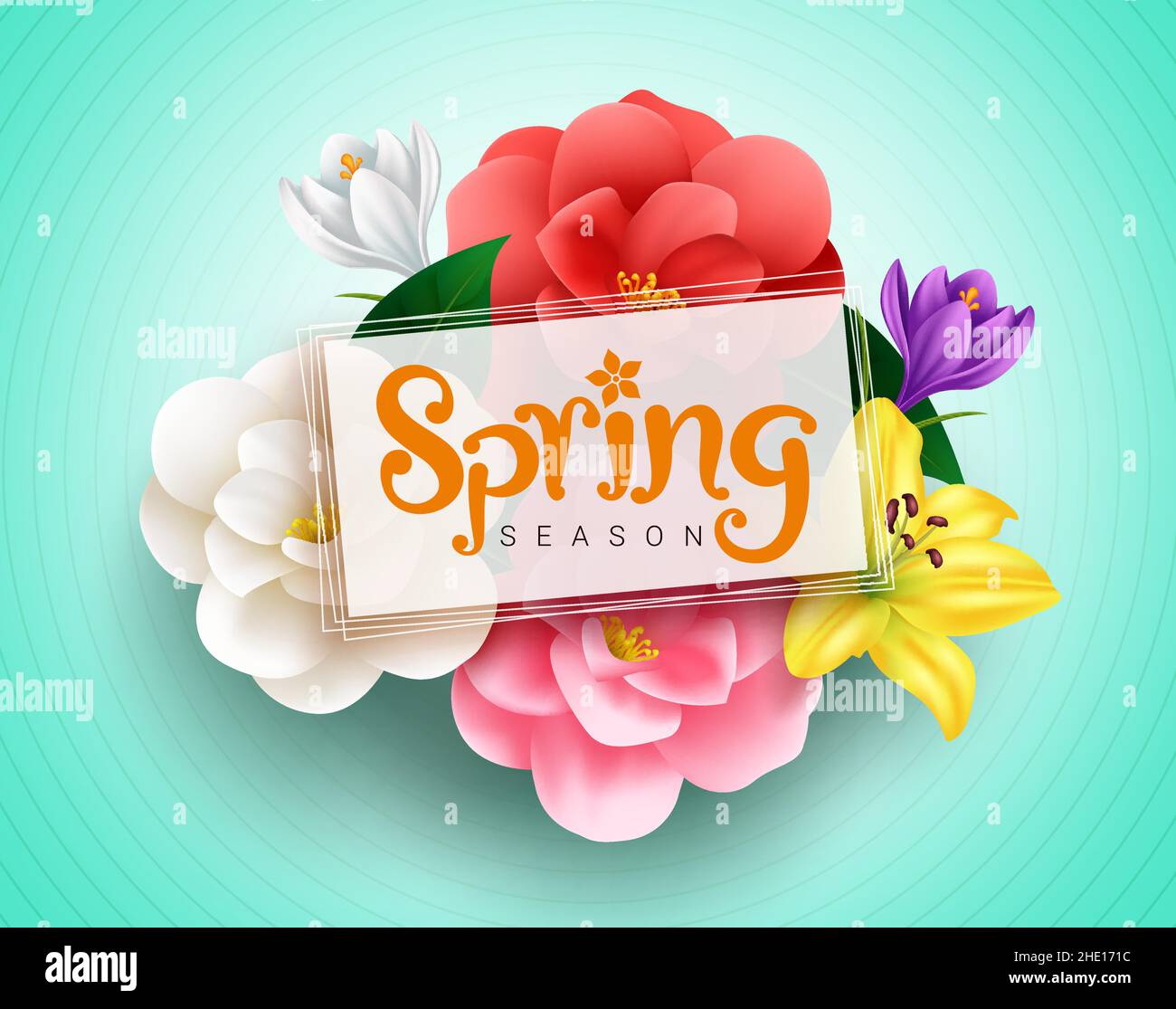 Spring season vector template design. Spring text in empty space with ...