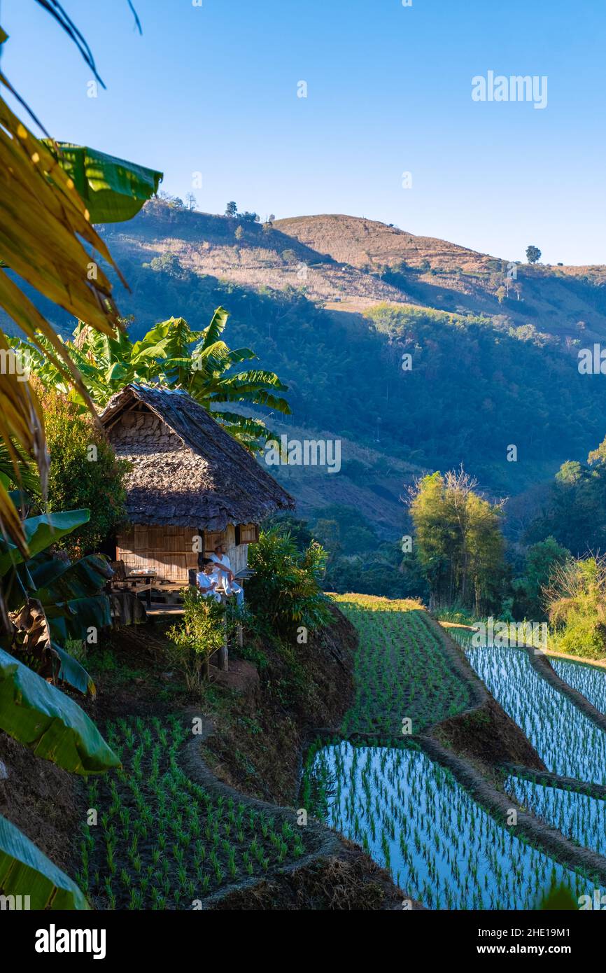 rice fields in Northern Thailand, rice farms in Thailand, rice paddies ...