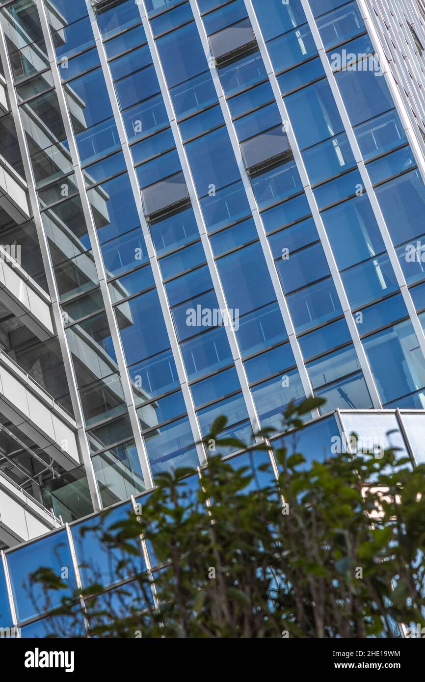 modern office building with green trees Stock Photo - Alamy