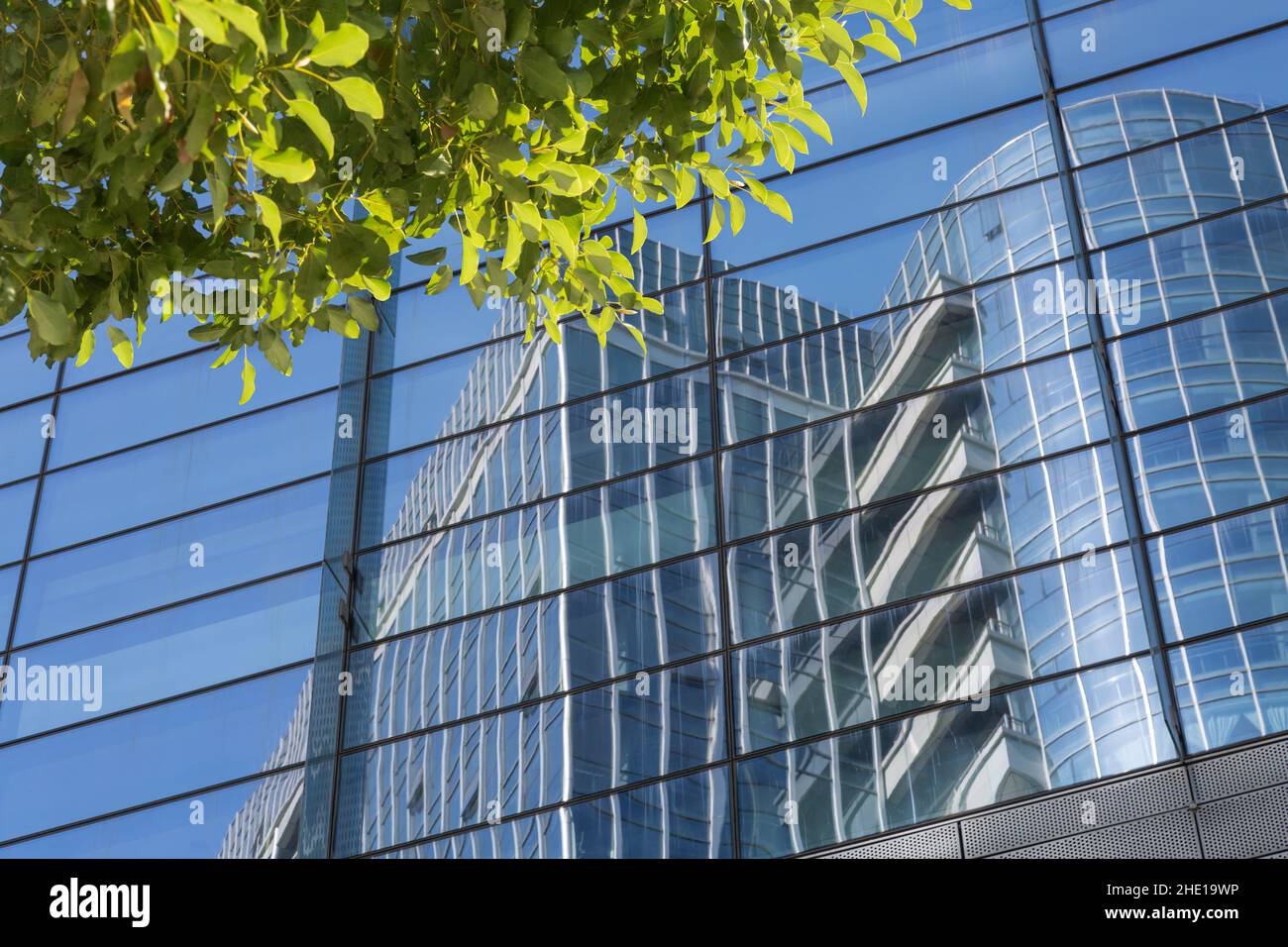modern office building with green leaves Stock Photo - Alamy