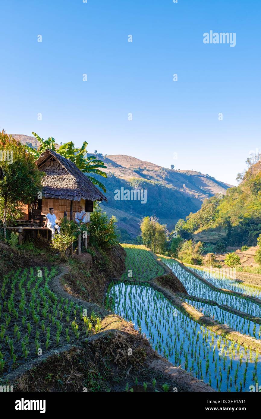 rice fields in Northern Thailand, rice farms in Thailand, rice paddies ...