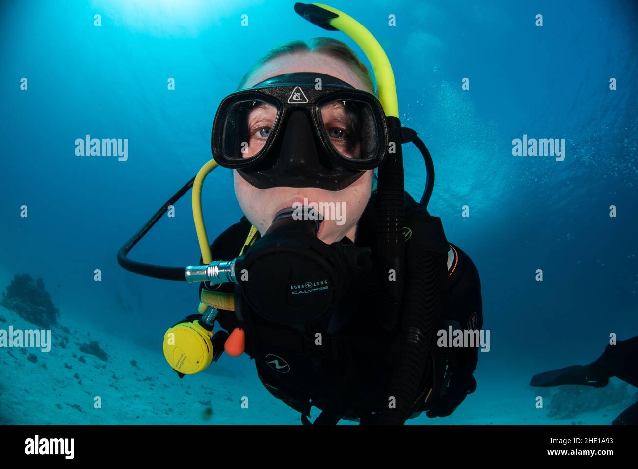 Diver red sea hi-res stock photography and images - Alamy
