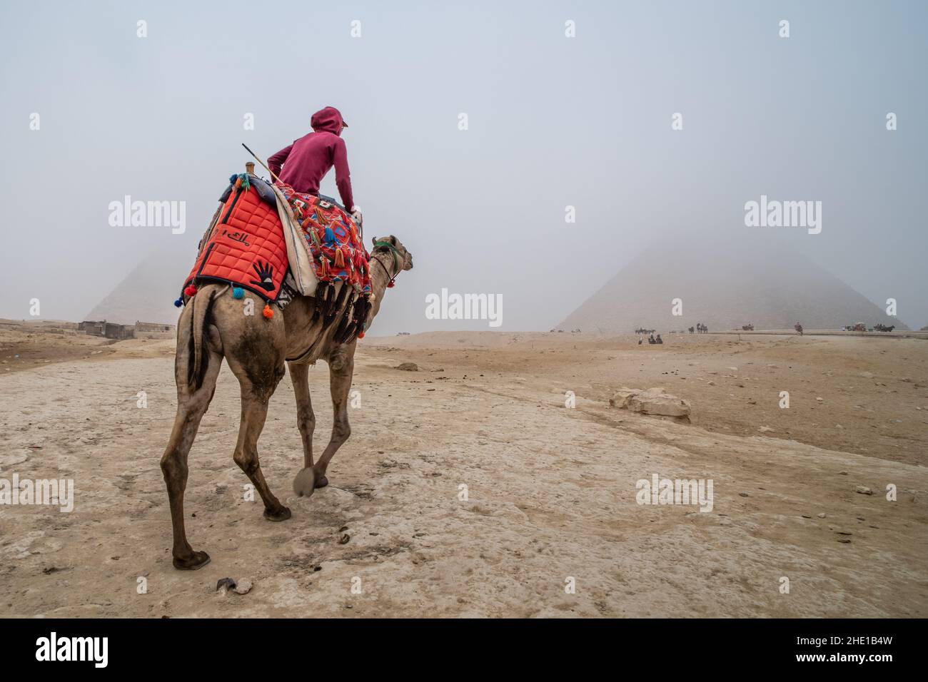 Man riding camel hi-res stock photography and images - Alamy