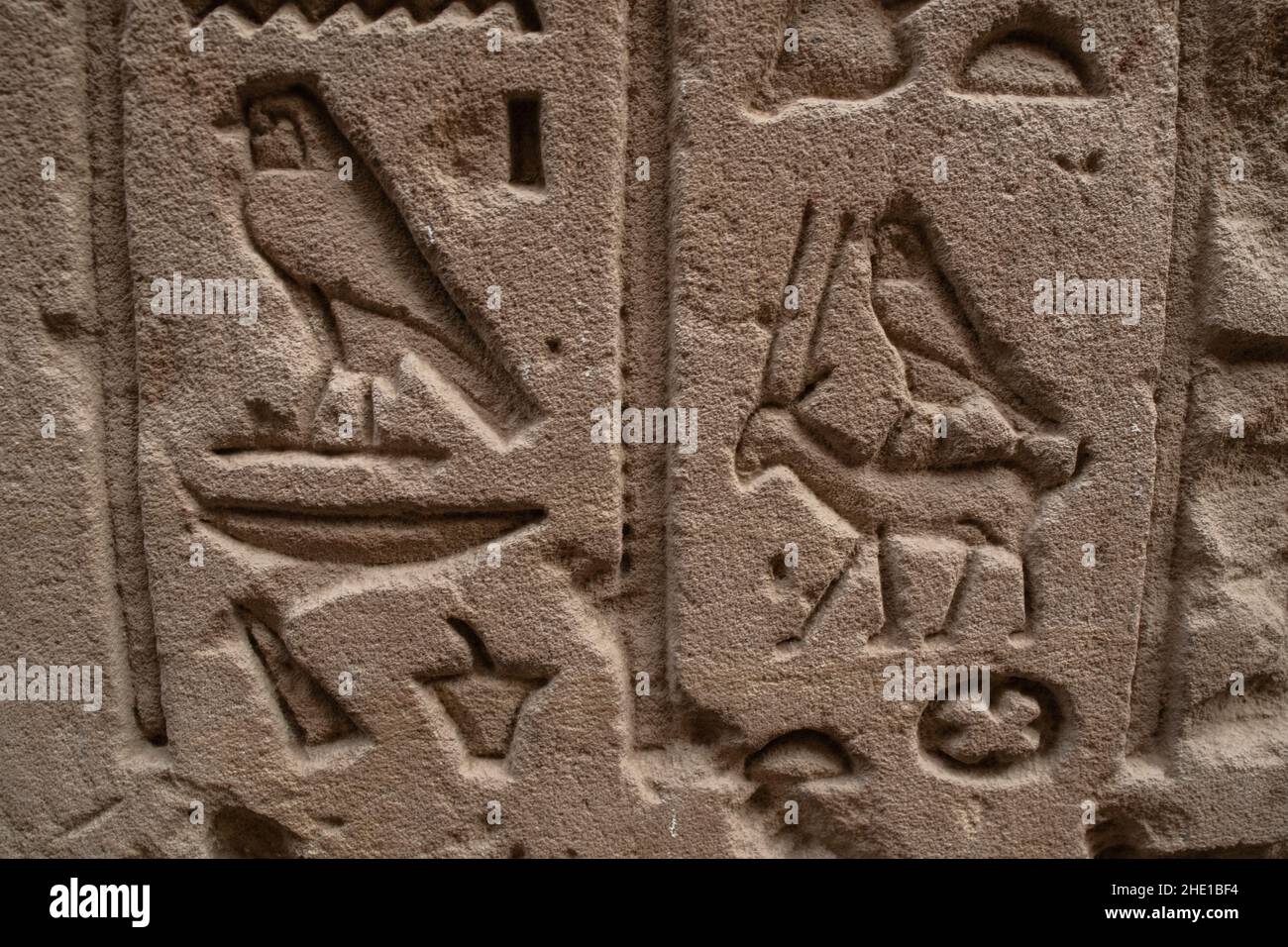 Ancient egyptian carvings and hieroglyphs of a gazelle and falcons on ...