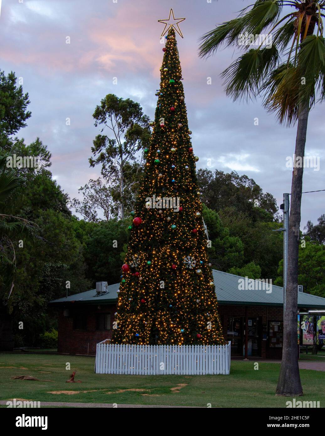 Dalby Christmas Tree Stock Photo - Alamy