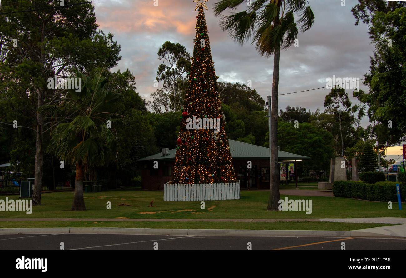 Dalby Christmas Tree Stock Photo - Alamy