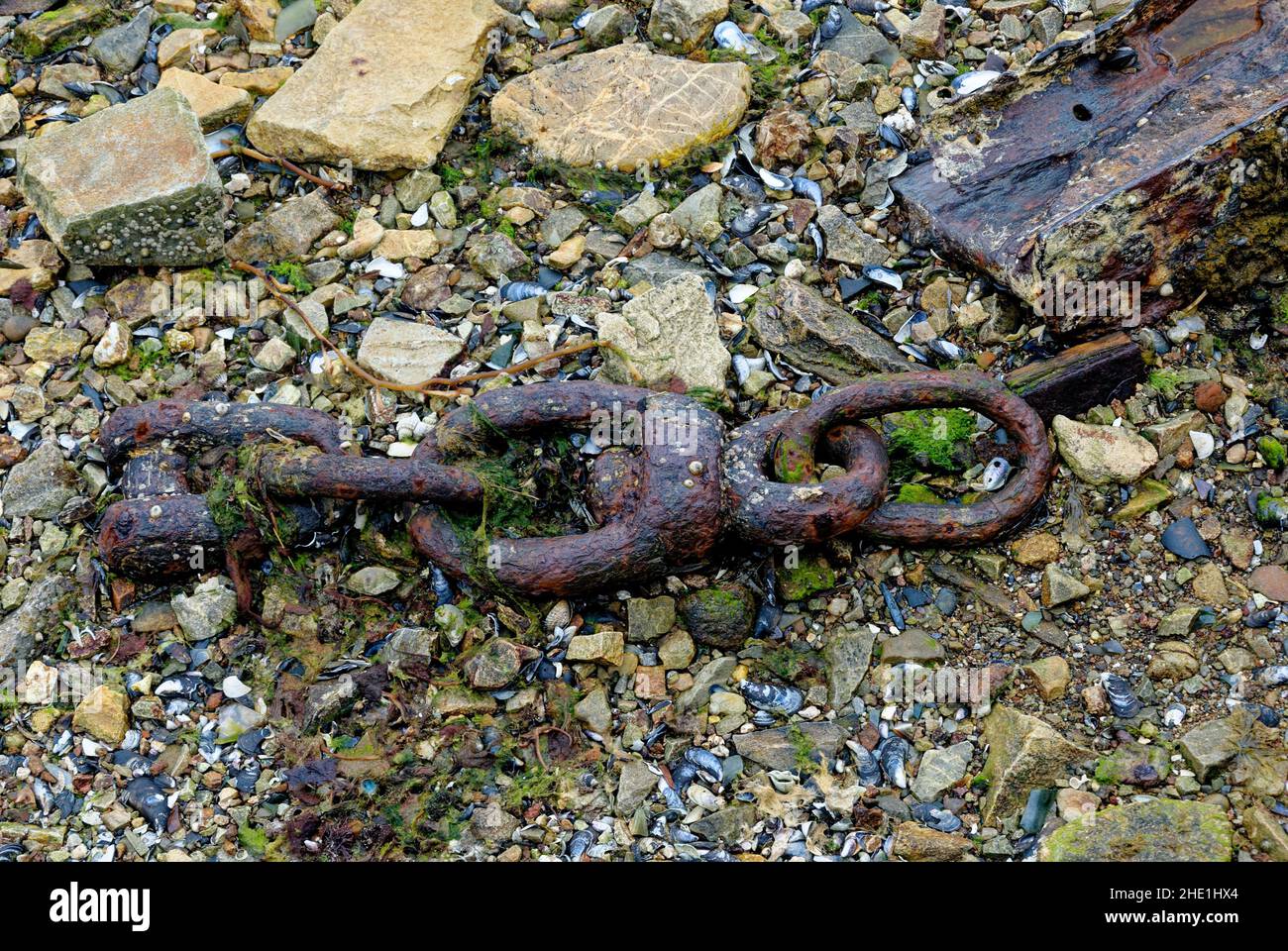 Old rusty ship chain lying on a rocky beach. Rusty large chain on a ...
