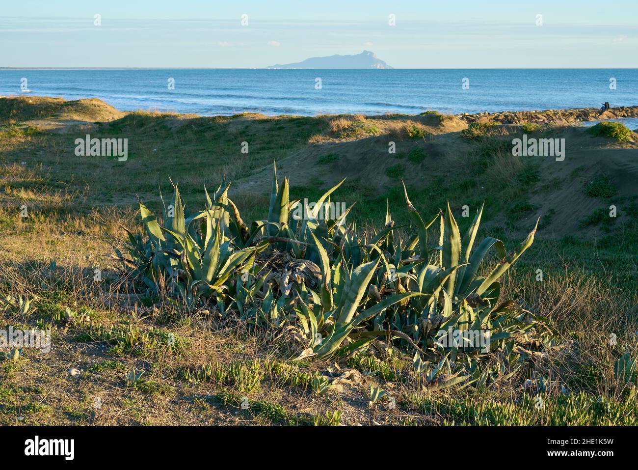 Marina di Latina, Circeo National Park, Italy Stock Photo - Alamy